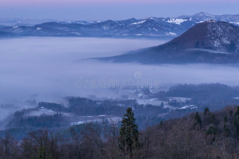 Cold winter morning stock image. Image of side, forest - 87613491