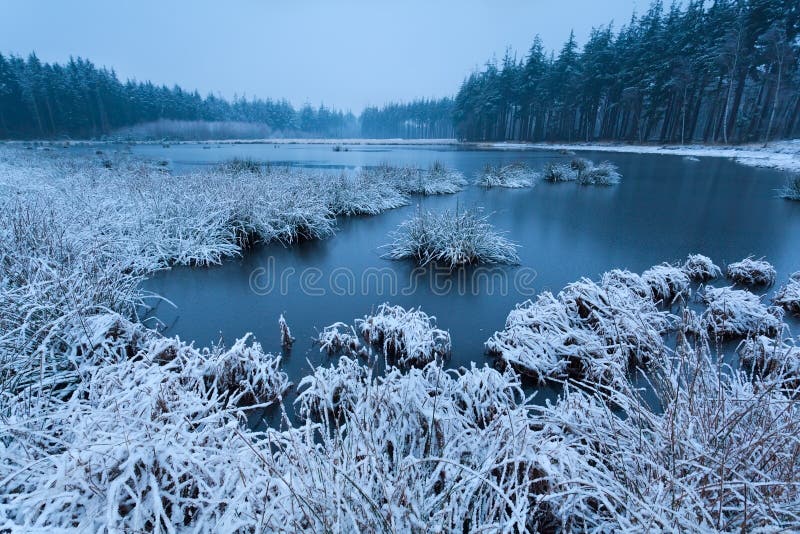 Cold Winter Morning Over Wild Lake Stock Image - Image of lake, frost ...