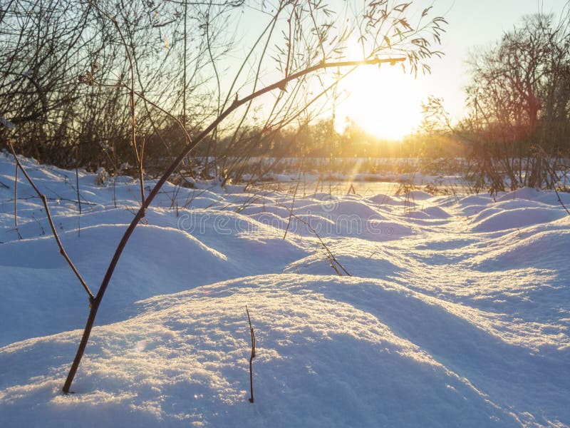 Cold Winter Morning in the Park Stock Image - Image of vacation ...