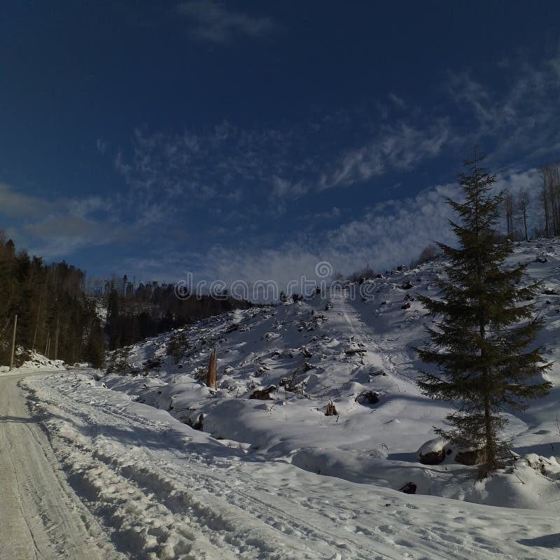 Cold winter snow stock photo. Image of snow, freezing - 201700096