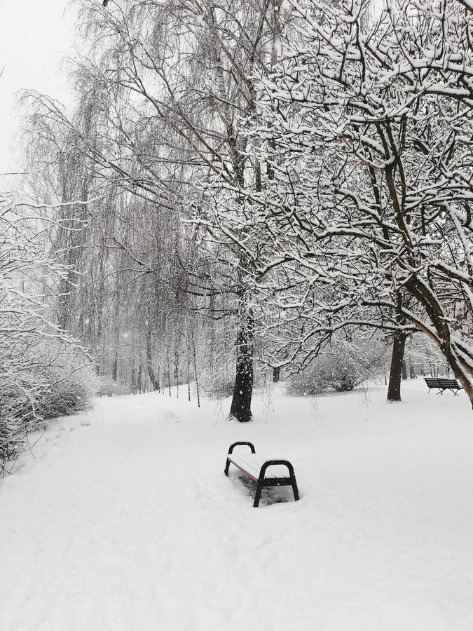 Cold Winter with Snow, Empty Park Alley Stock Image - Image of snowfall ...