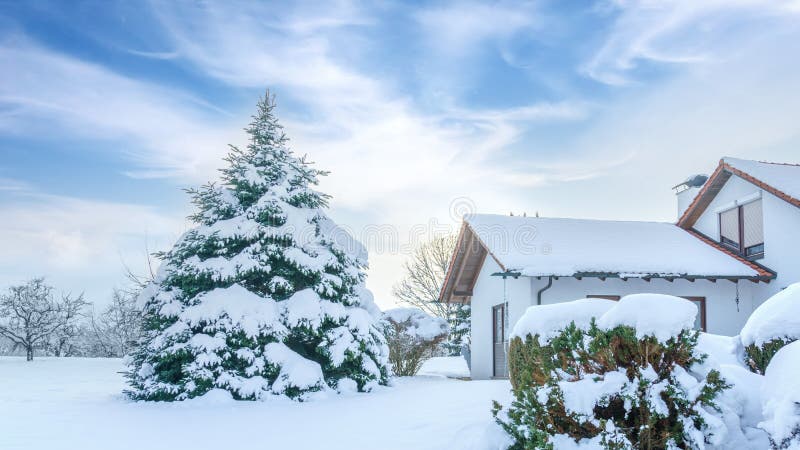 Cold winter snow scenery stock image. Image of merry - 208029919