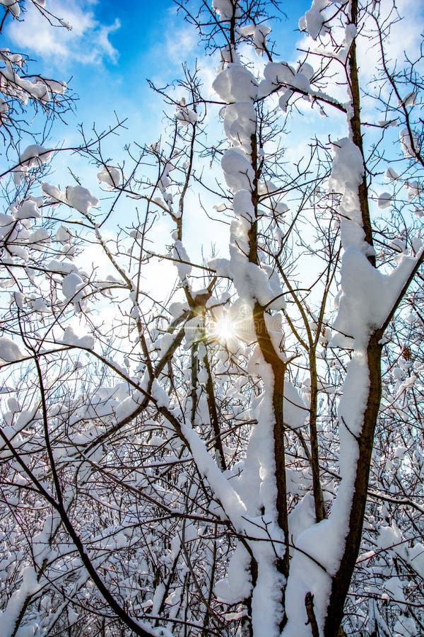 Cold winter sun stock photo. Image of edeg, neacute - 172509610