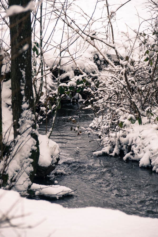 Cold, Wintery Walks Outside in the Snow! Stock Image - Image of wintery ...