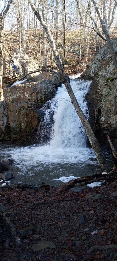 Cold in the woods stock photo. Image of nature, formation - 267713386