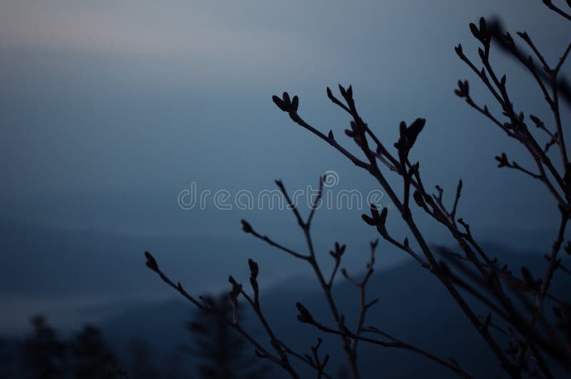 Cold world on the sunset stock image. Image of cold - 187070259