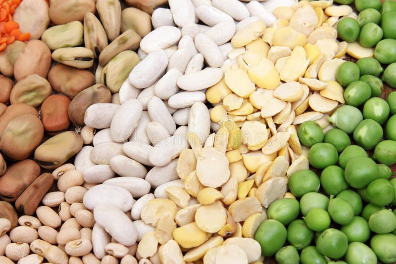 Coleção da leguminosa foto de stock. Imagem de leguminosa - 23256210