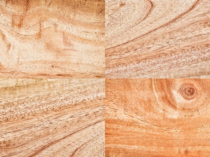 Textura De Madera: Laurel Del Alcanfor Imagen de archivo - Imagen de ...