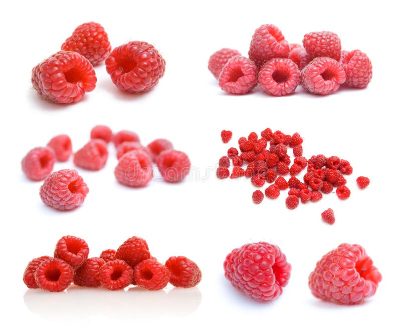 Colección De Imágenes De Las Frambuesas Imagen de archivo - Imagen de ...