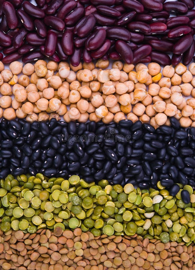 Legumbre De La Planta De Guisante Foto de archivo - Imagen de fresco ...