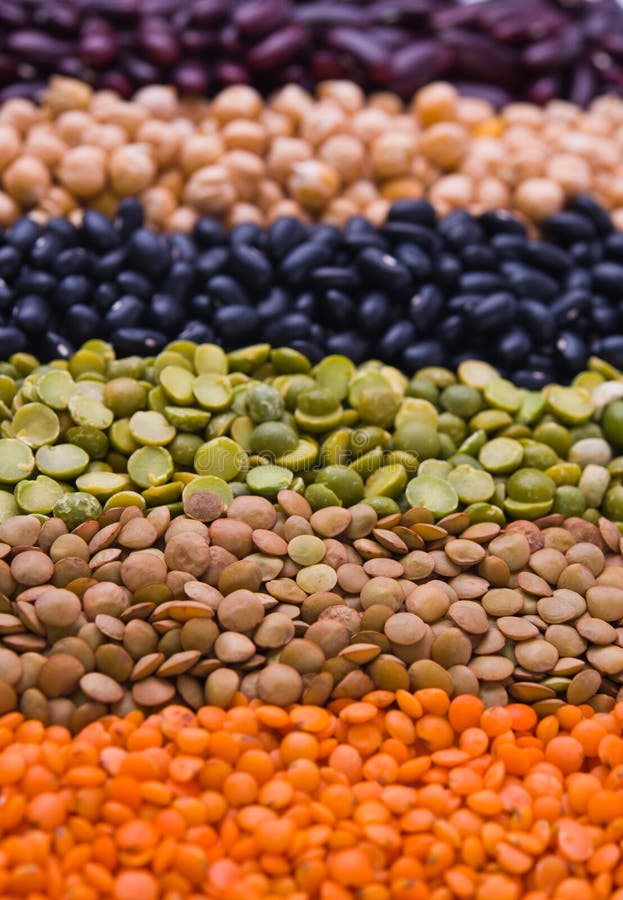 Colección de la legumbre foto de archivo. Imagen de fondo - 28718126