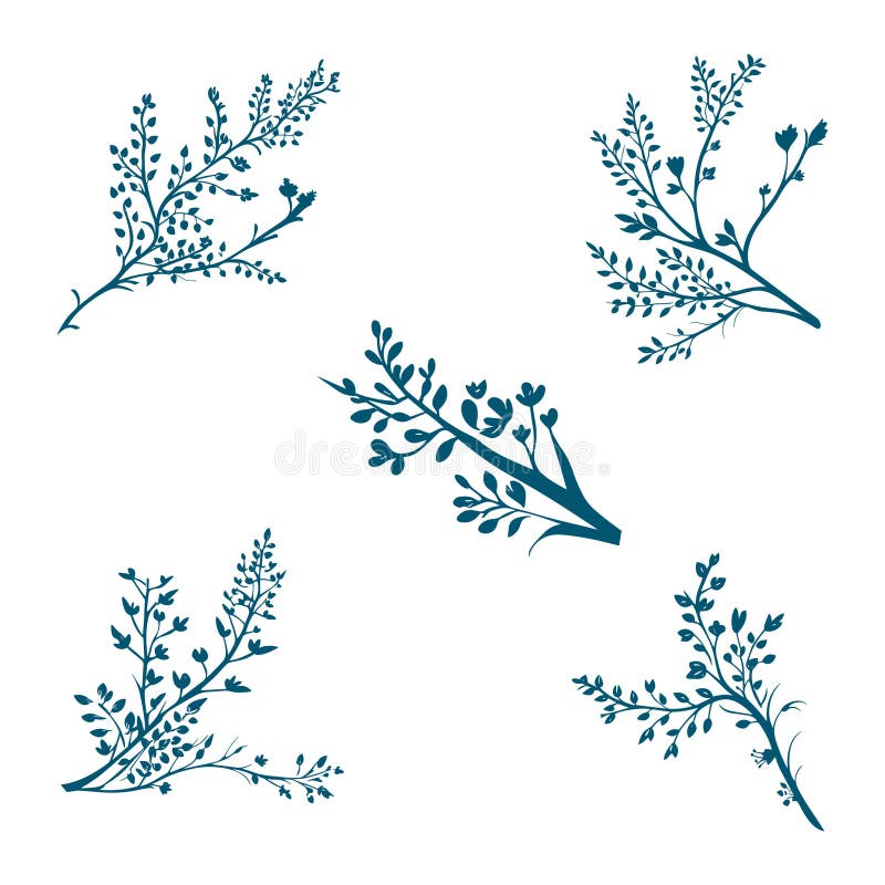 Ramas De árbol Colección Vectorial Ilustraciones Stock, Vectores, Y ...