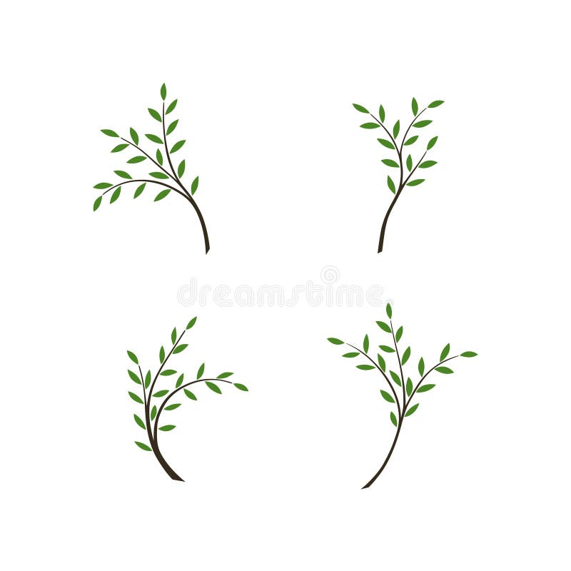 Colección De Ramitas Con Las Hojas Verdes Frescas, Ejemplo Del Vector ...