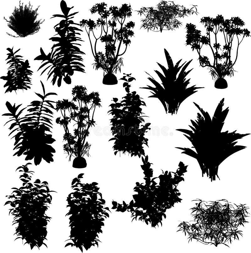 Colección Grande Del VECTOR De Planta Ilustración del Vector ...