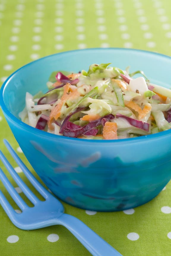 Coleslaw stock photo. Image of slaw, seed, cabbage, summer - 15283296