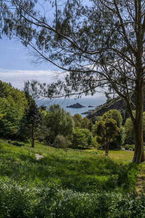 Coleton Fishacre House Grounds in Devon Stock Photo - Image of ocean ...