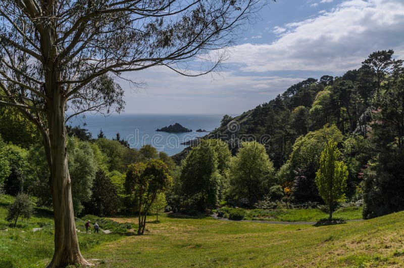 Coleton Fishacre House Grounds in Devon Stock Image - Image of devon ...