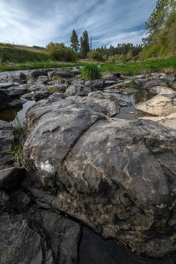 Colfax Trail stock photo. Image of landscape, panorama - 321243530