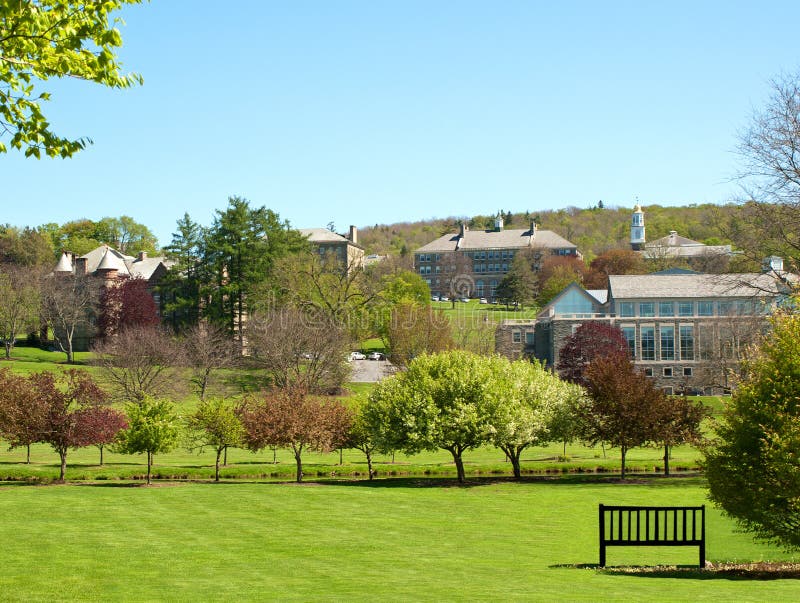 1,076 Colgate Stock Photos - Free & Royalty-Free Stock Photos from ...