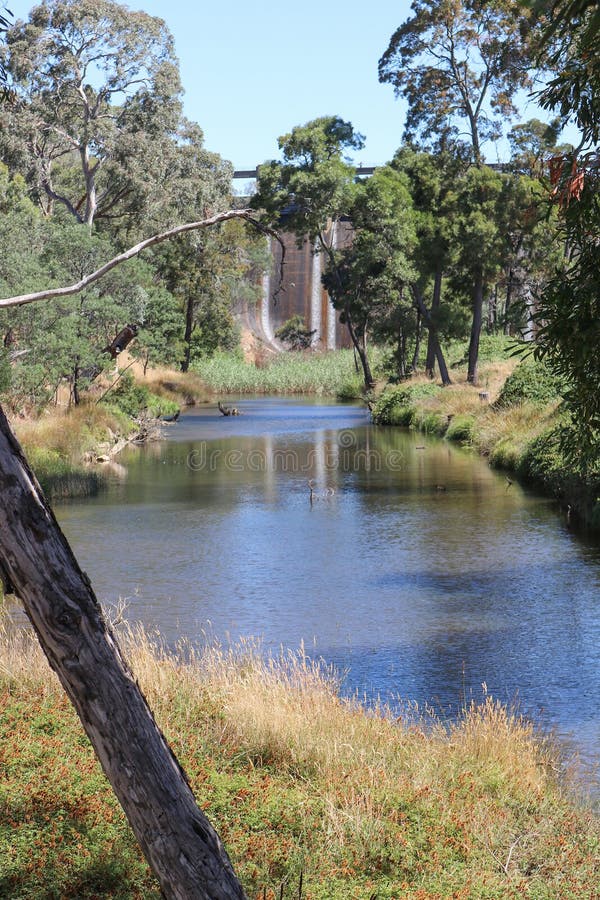 Coliban River Downstream from Lauriston Reservoir Dam Stock Image ...
