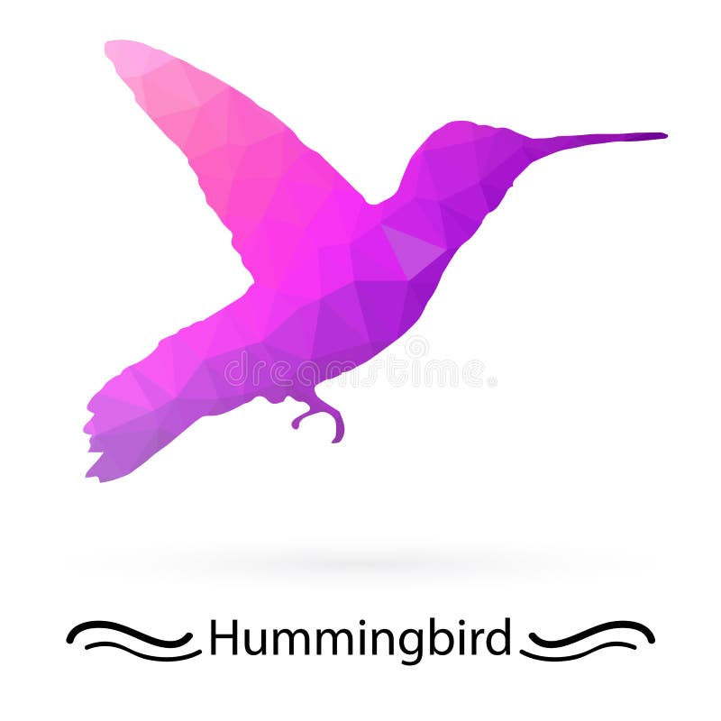 Sombra De Los Colores Del Colibrí 18 Stock de ilustración - Ilustración ...