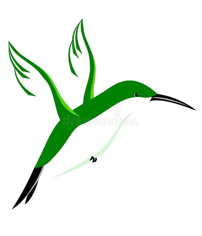 Colibrí de cernido ilustración del vector. Ilustración de fondo - 60217274