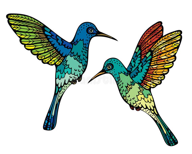 Diseño Del Folleto De Los Colibríes Del Vector Ilustración del Vector ...