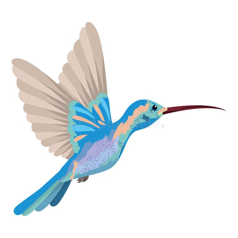 Colibri Exotic and Tropical Bird Stock Vector - Illustration of summer ...