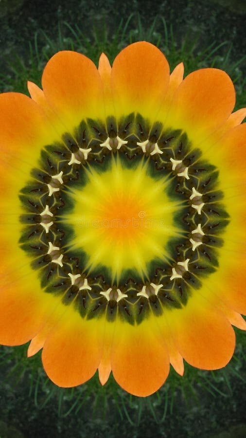 Flower Colidescope Stock Photos - Free & Royalty-Free Stock Photos from ...