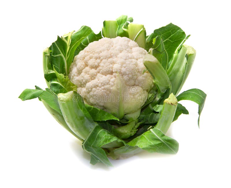 Col de la coliflor foto de archivo. Imagen de hoja, coliflor - 6162306