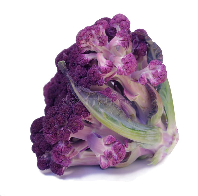 Flor de la col imagen de archivo. Imagen de gotas, textura - 3362653