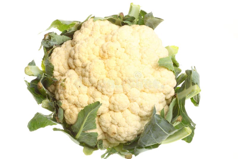 Coliflor Fresca Aislada En Blanco Imagen de archivo - Imagen de ...