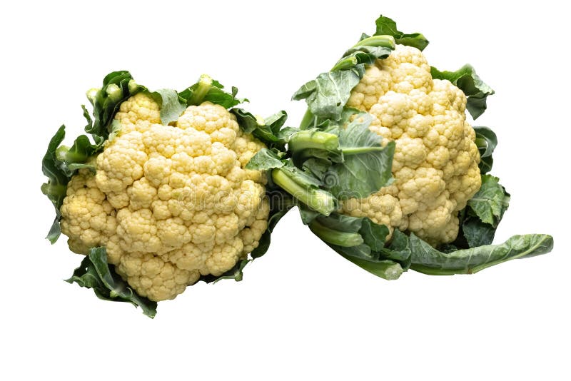 Coliflor Fresco Sobre Fondo Blanco Foto de archivo - Imagen de cocina ...