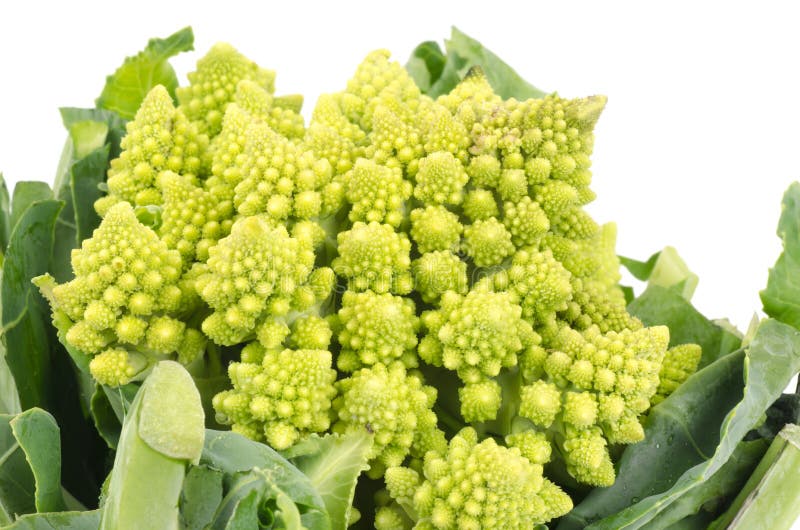 Coliflor Romanesco imagen de archivo. Imagen de vegetariano - 48239117
