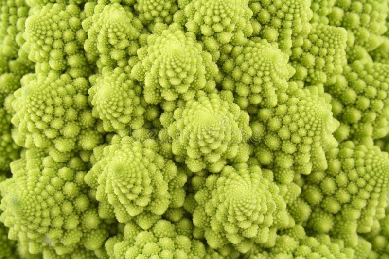 Coliflor verde foto de archivo. Imagen de vida, comida - 1280038