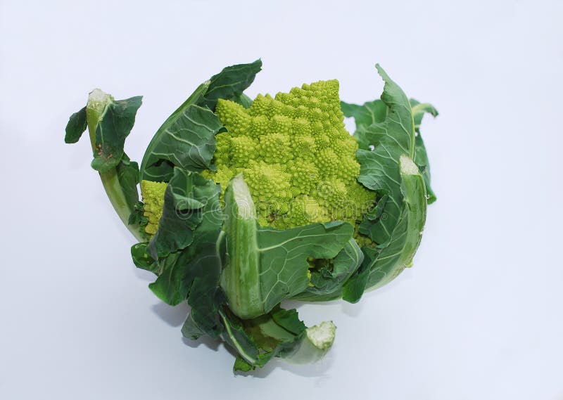 Coliflor verde imagen de archivo. Imagen de agricultura - 12965323