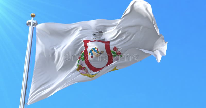 Colima Flag Waving, Mexico. Loop Stock Video - Video of american ...