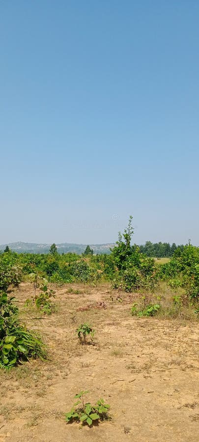 Colina terrestre foto de archivo. Imagen de cosecha - 259955374