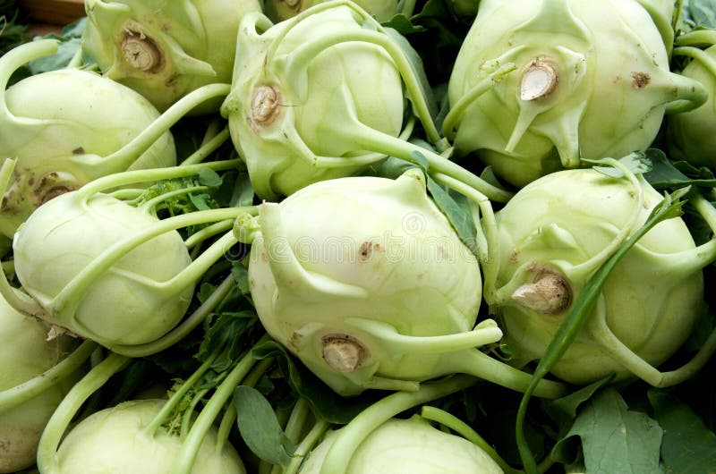 Colinabo imagen de archivo. Imagen de verde, colinabo - 5232569