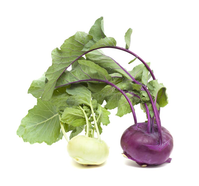 Colinabo aislado en blanco imagen de archivo. Imagen de crudo - 65341375