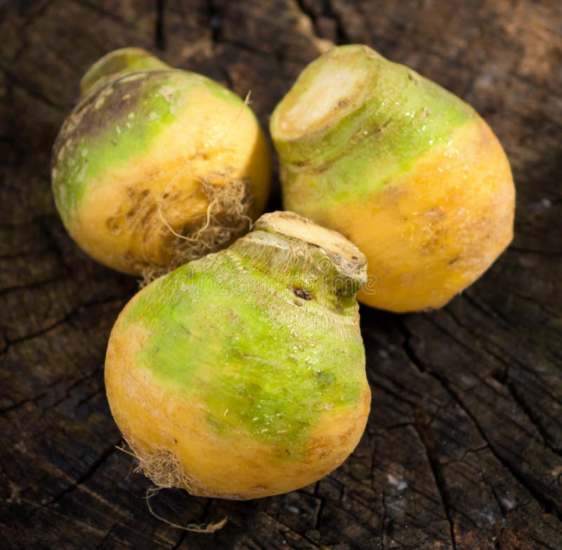 Cosecha De Rábano Japonés Fresco Foto de archivo - Imagen de cocina ...