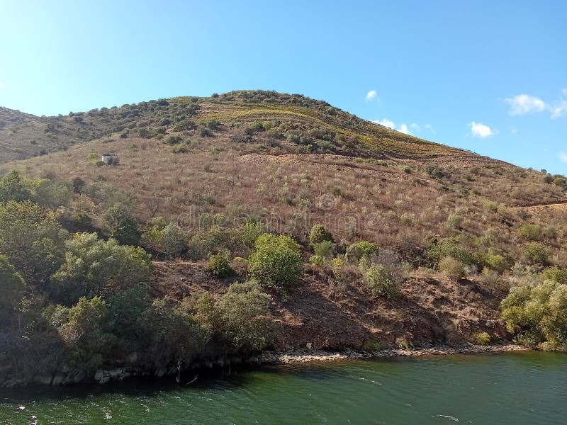 Colinas Ao Longo Do Rio Douro Imagem de Stock - Imagem de lago, capa ...