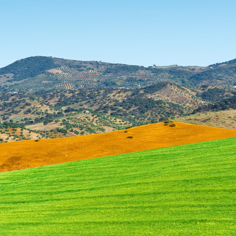 Colinas de España imagen de archivo. Imagen de pasto - 87650589