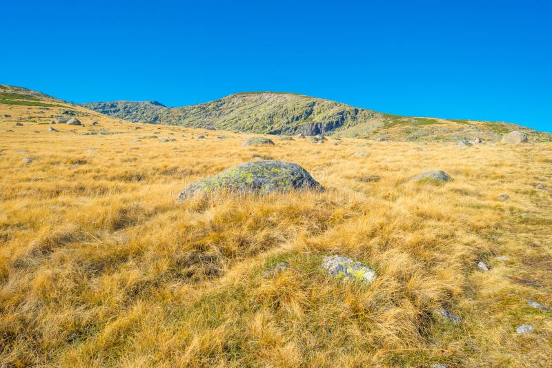 Colinas Del Parque Natural Sierra De Gredos Imagen de archivo - Imagen ...