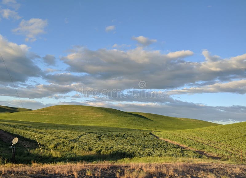 Colinas Onduladas Y Cielos Azules Foto de archivo - Imagen de estepa ...