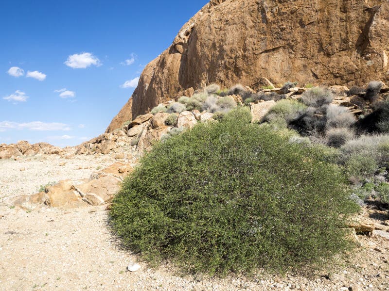 Colinas Rocosas En El Desierto De Namibia Central Foto de archivo ...