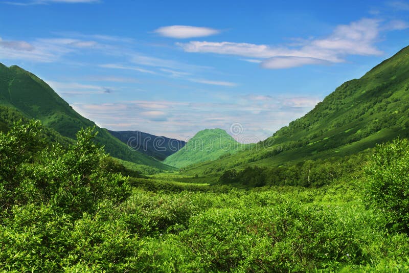 Colinas verdes imagen de archivo. Imagen de verde, prado - 4486329