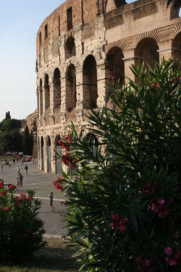 Coliseum editorial stock image. Image of province, monuments - 34380094