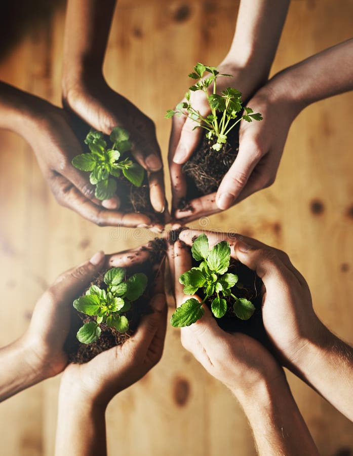 Collaborate and Create Possibilities. a Group of People Holding Plants ...