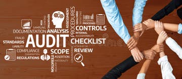 Collaborative Teamwork in Audit Analysis Featuring Checklist, Controls ...